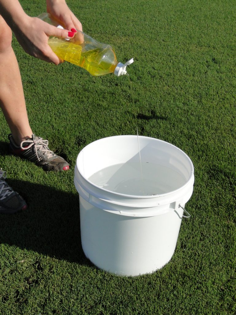 Soapy-water Flush – NC Turf Bugs